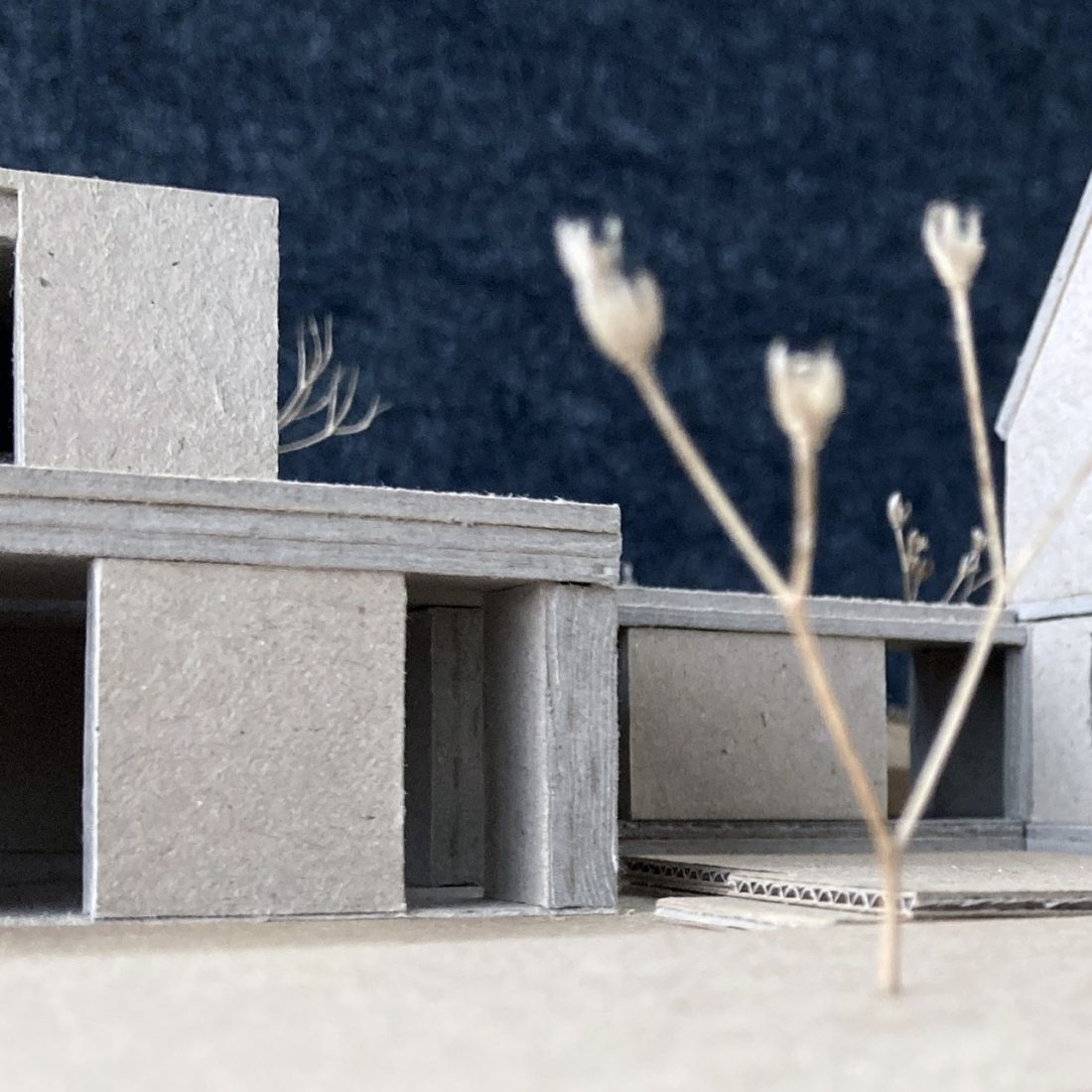 Studio Bua to extend stone cottage in Wiltshire