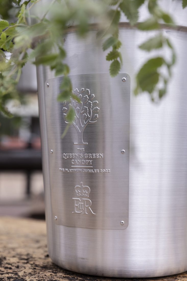 ‘Contorting nature’ – commentators react to Heatherwick’s Tree of Trees