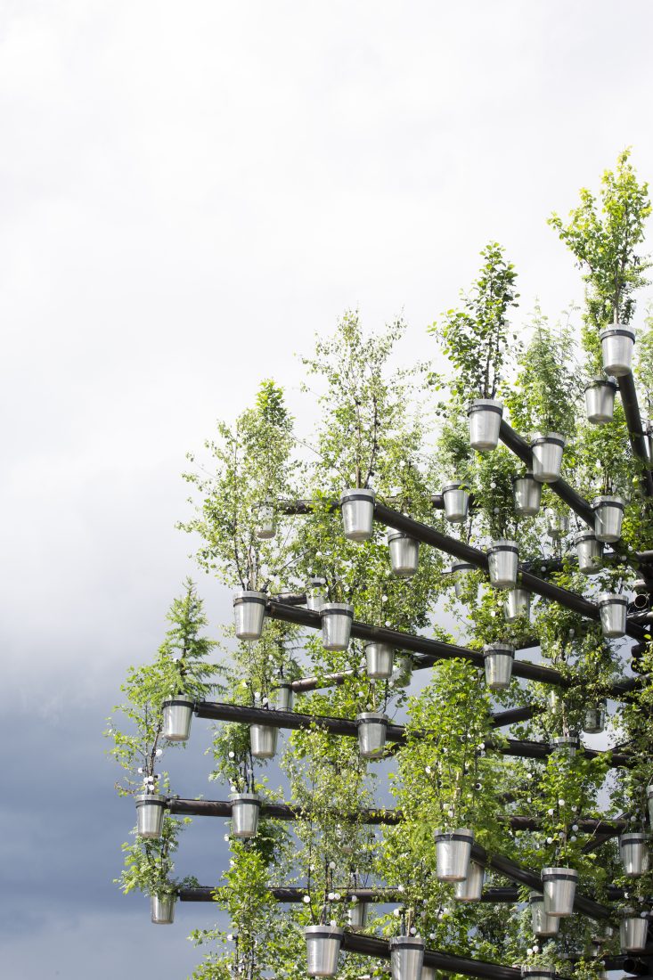 ‘Contorting nature’ – commentators react to Heatherwick’s Tree of Trees