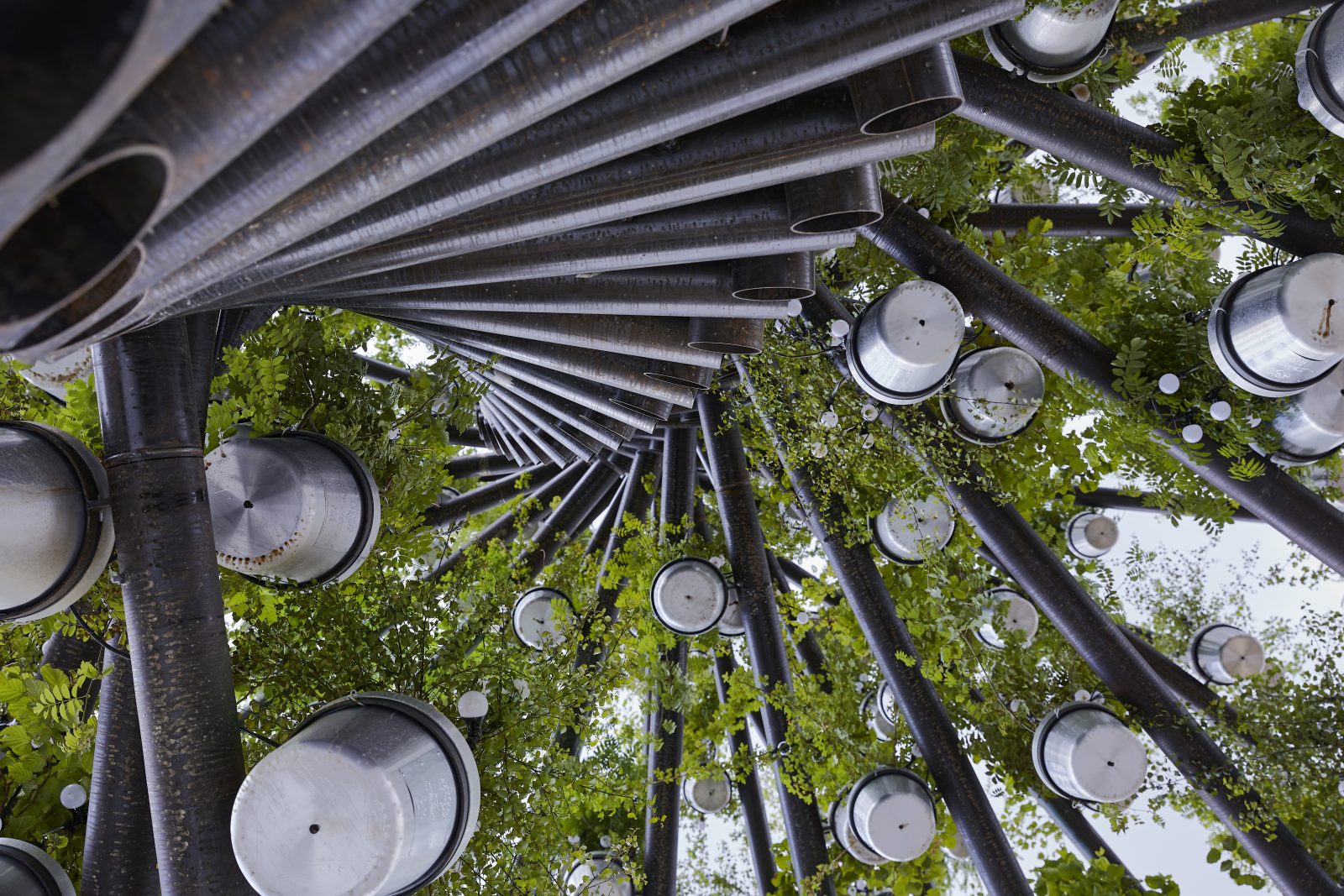 ‘Contorting nature’ – commentators react to Heatherwick’s Tree of Trees
