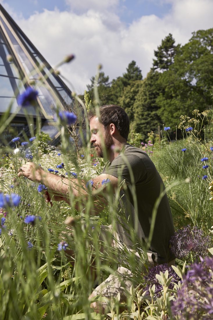 Heatherwick creates 10-sided openable glasshouse for Woolbeding Gardens
