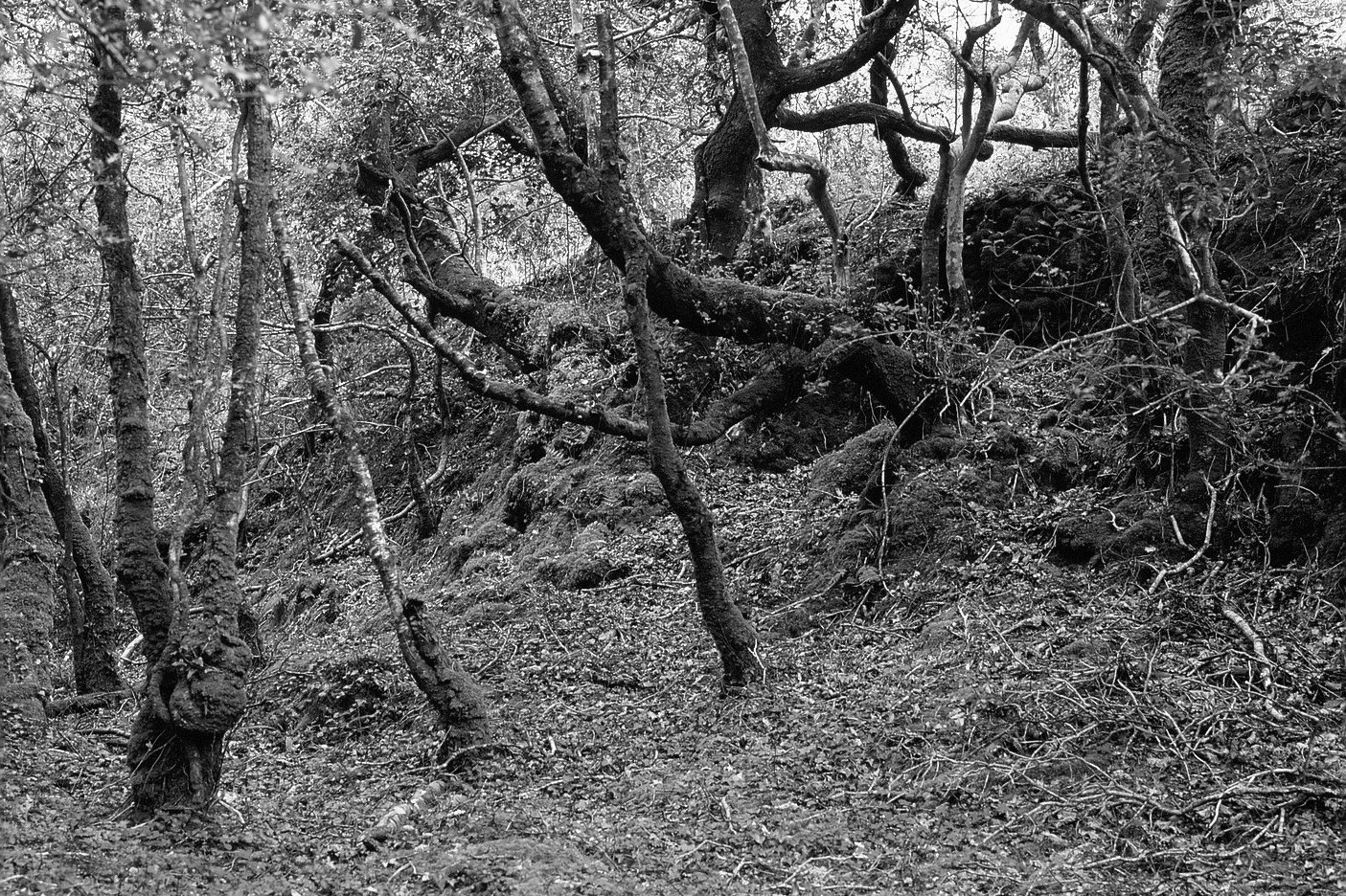 A Square of Ground: Irish architect Noreile Breen explores practice ...