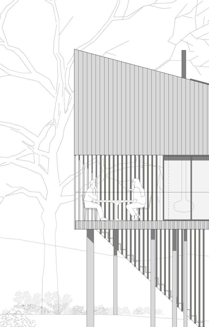 Hills + Co wins approval for holiday home in trees after ‘arduous’ process