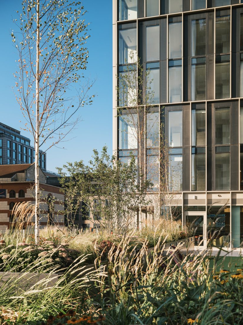 Glenn Howells Architects completes Birmingham’s tallest residential tower