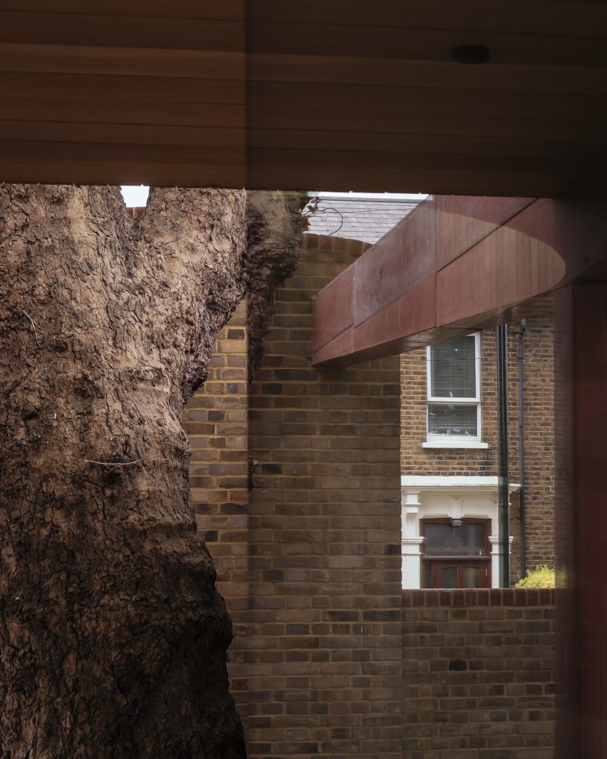 Case study: Lea Bridge Library Pavilion by Studio Weave