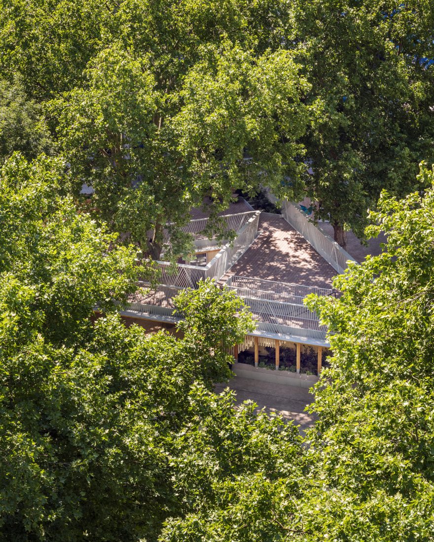 Case study: The Tree House by Bell Phillips Architects