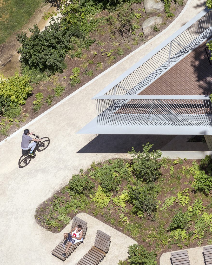 Case study: The Tree House by Bell Phillips Architects