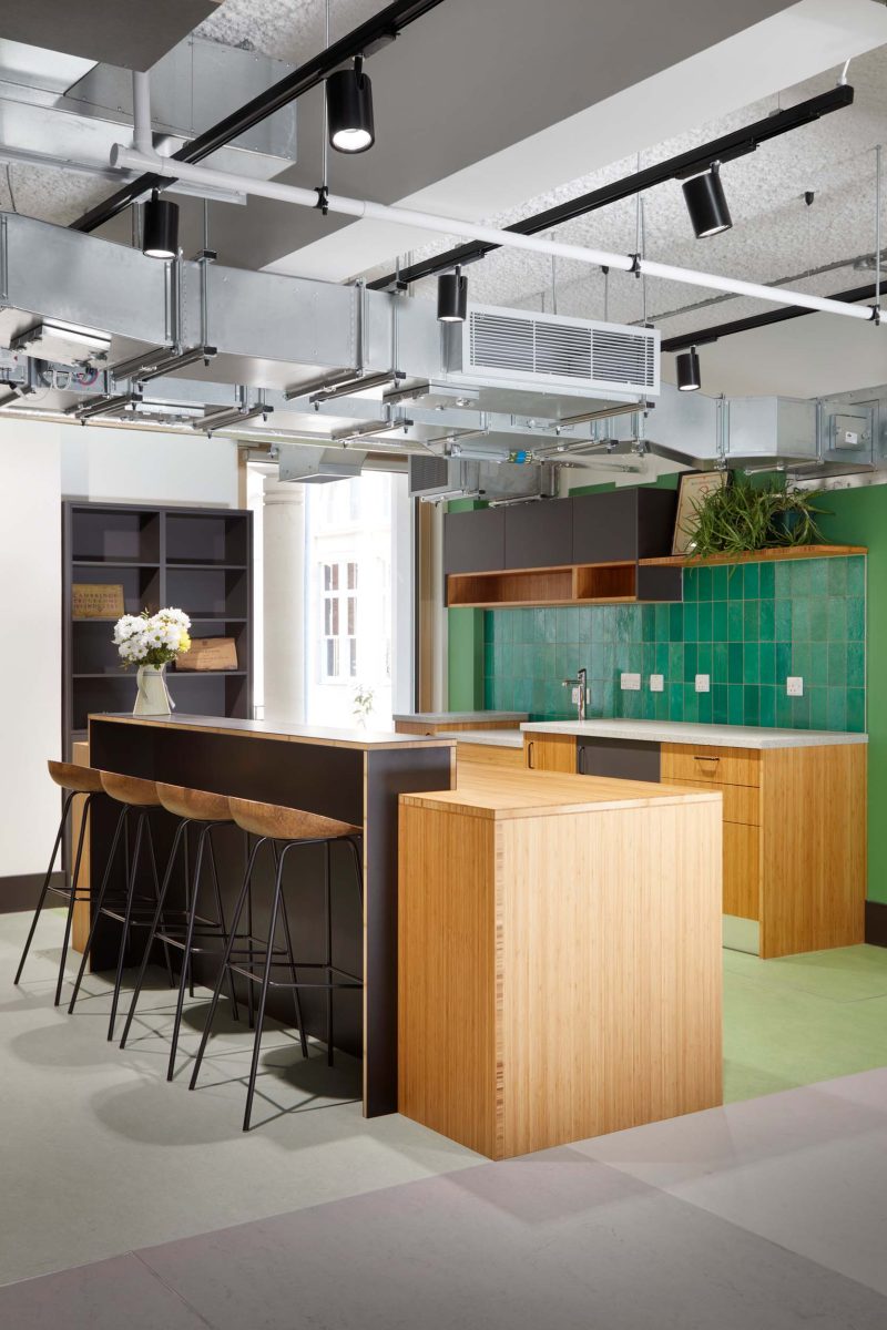 Building study: Entopia, Cambridge, by Architype