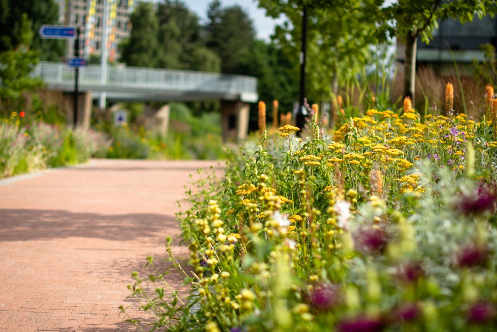 Sheffield’s green artery is something to celebrate