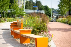 Grey to Green: Sheffield’s transformational flood defence scheme