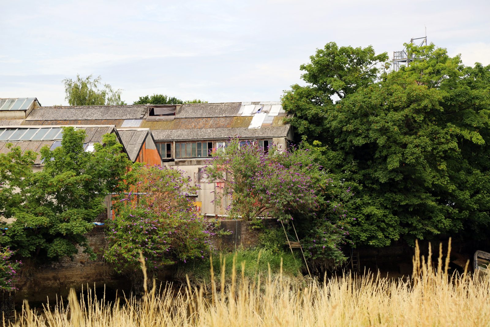 Who’s who of architects reveal plans for 700-home timber scheme in Lewes