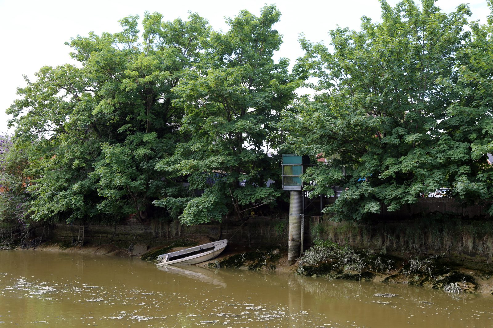 Who’s who of architects reveal plans for 700-home timber scheme in Lewes