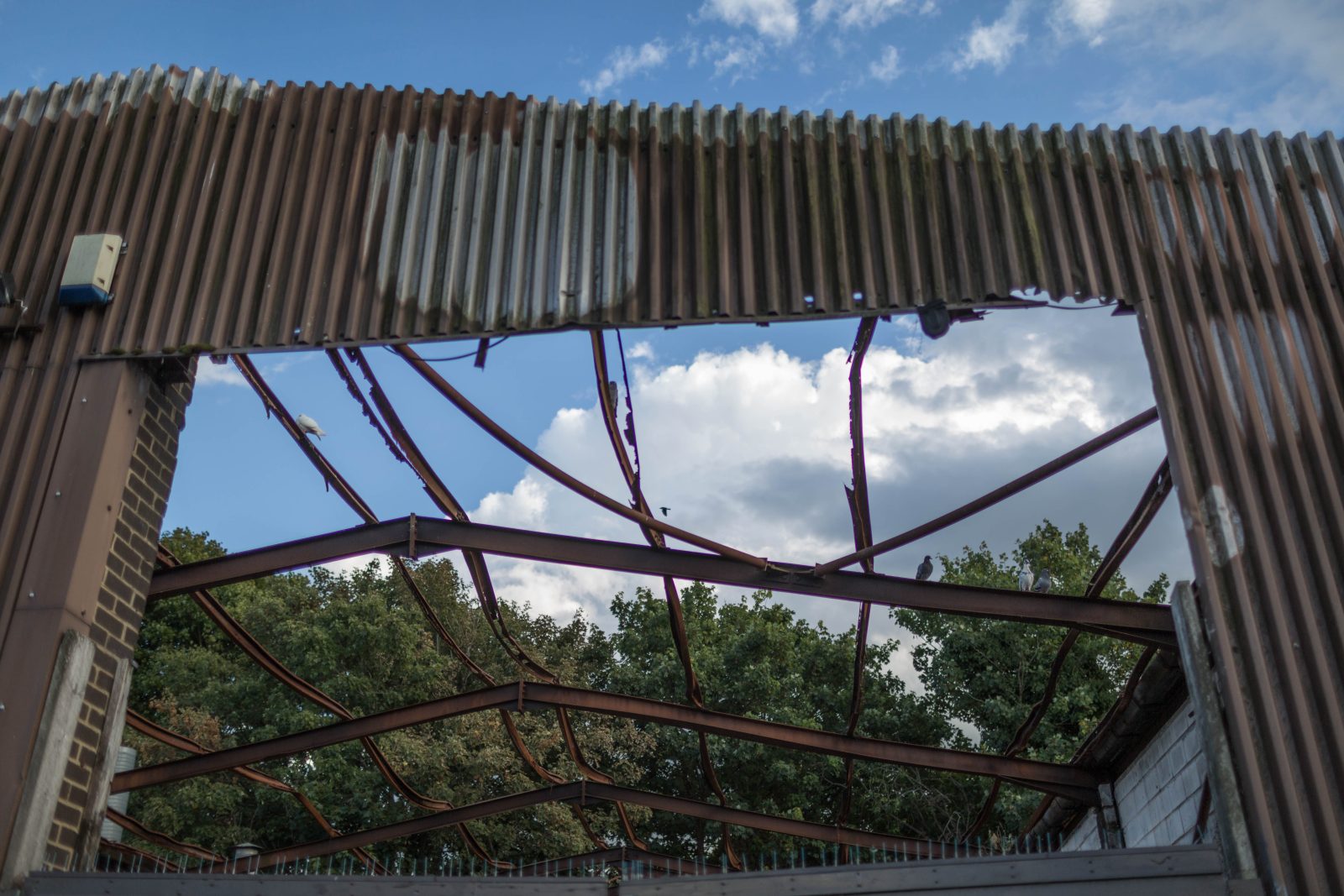 UK's largest all-timber development given green light in Lewes