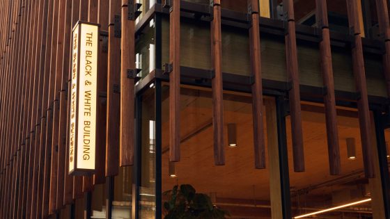 Timber all the way: The Black & White Building by Waugh Thistleton