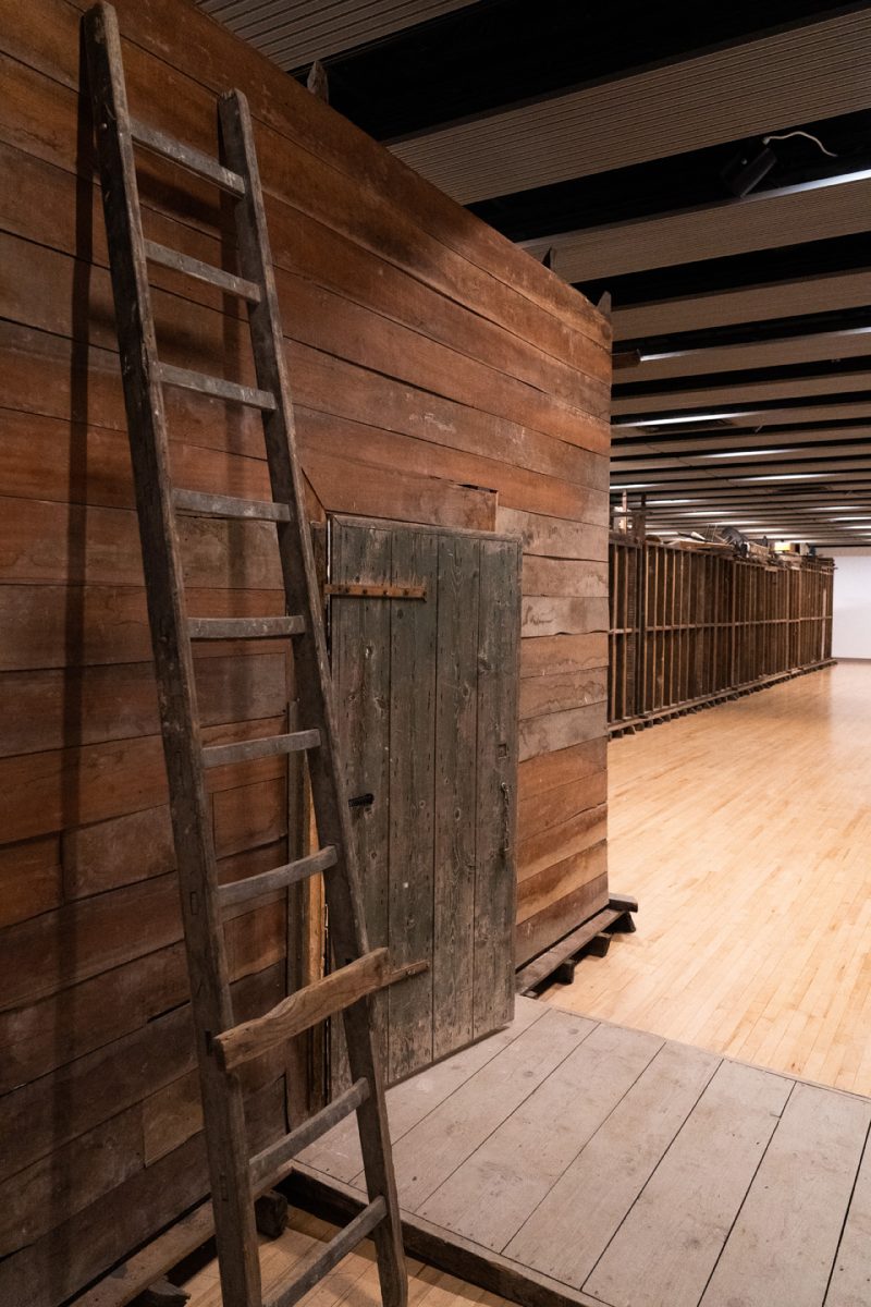 Review: ‘Extinction Beckons’ – Mike Nelson at the Hayward