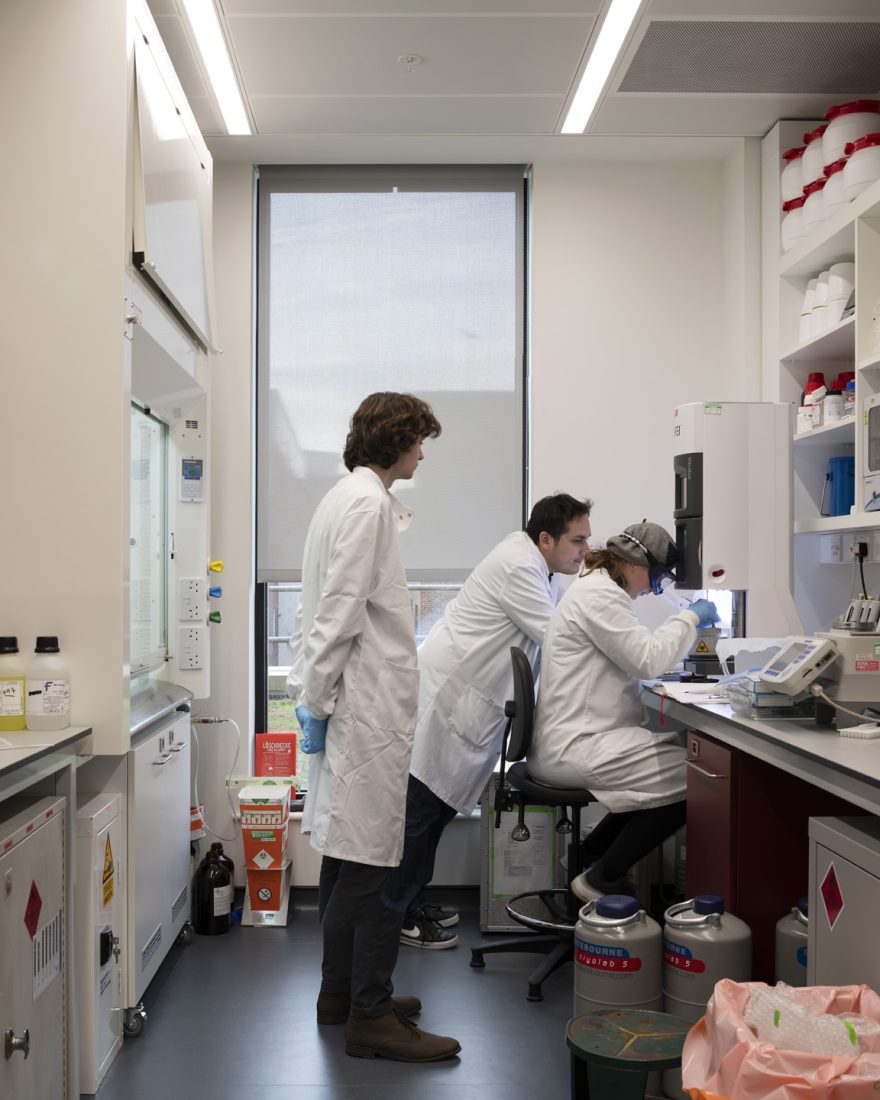 Hawkins\Brown completes £65 million biomedical research facility