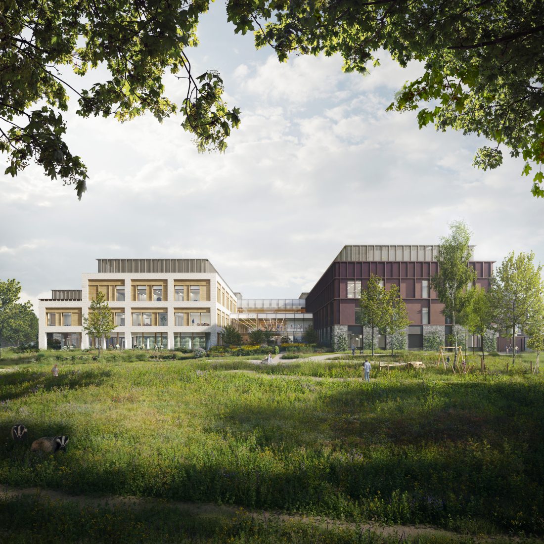White Arkitekter gets go-ahead for timber Cardiff cancer centre