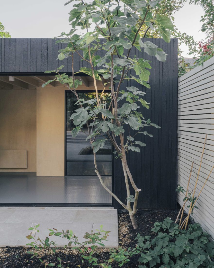 MATA extends and adds garden studio to London terraced house