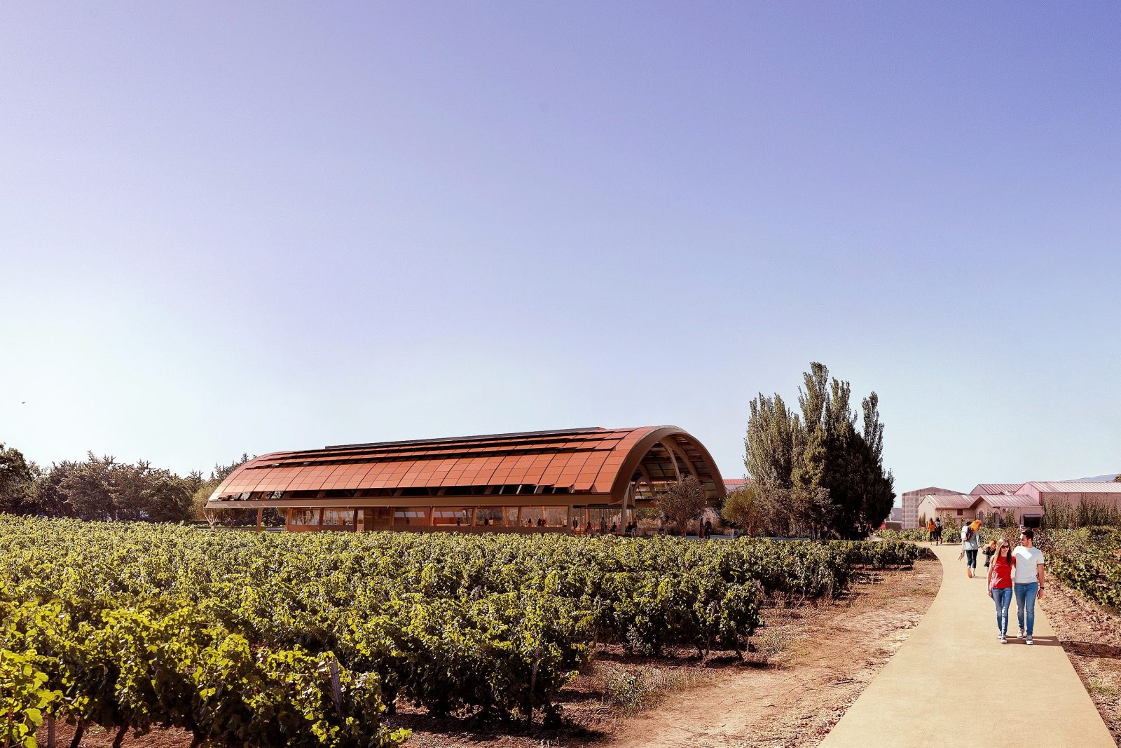 Foster + Partners unveils plans for timber extension to Spanish winery