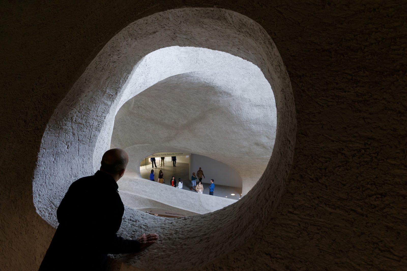 Studio Gang-designed Gilder Center museum extension opens in New York