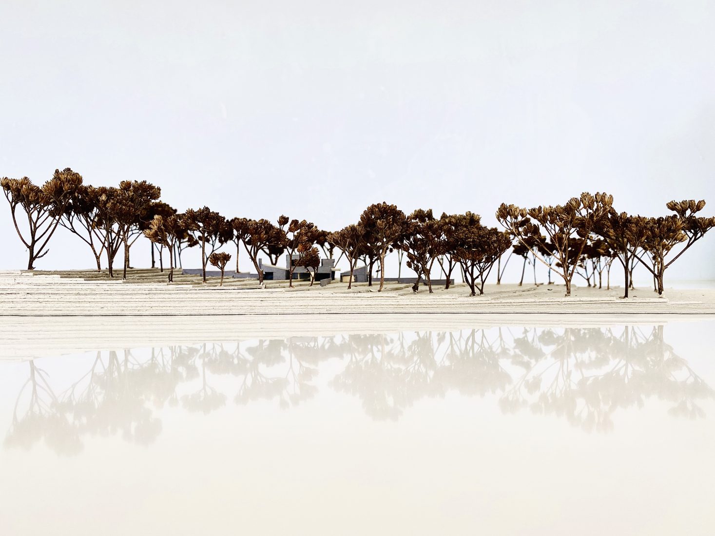 Feneley Studio wins go-ahead for self-build timber home under country ...