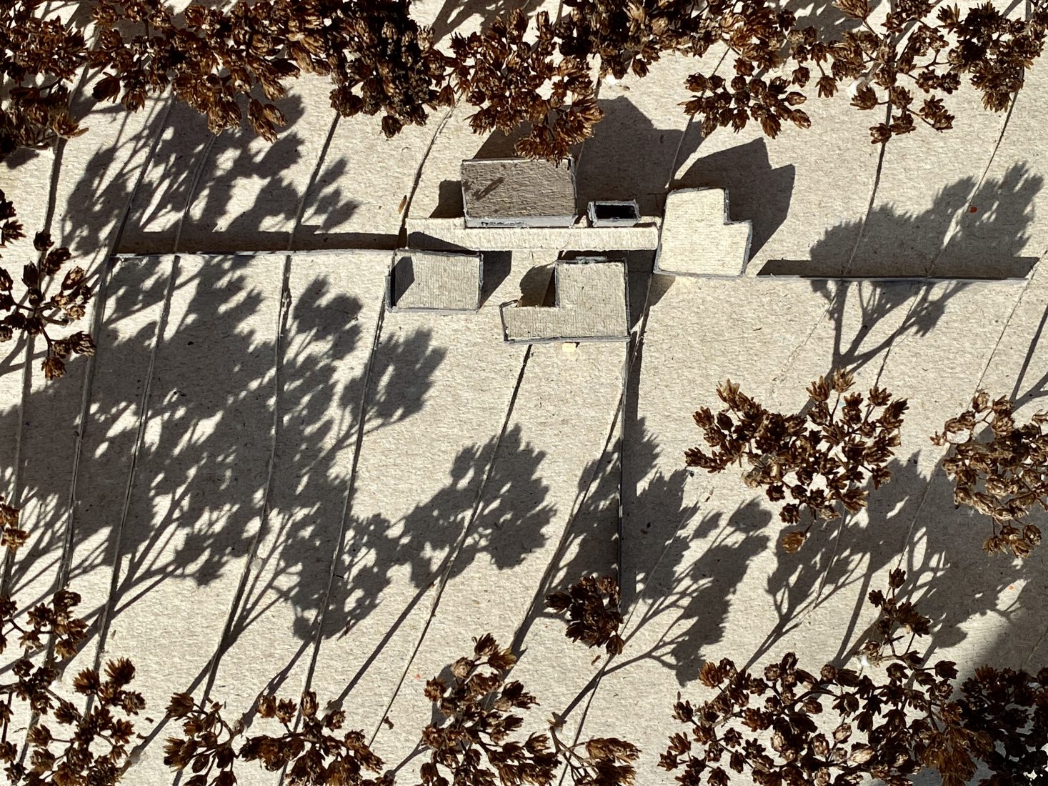 Feneley Studio wins go-ahead for self-build timber home under country ...