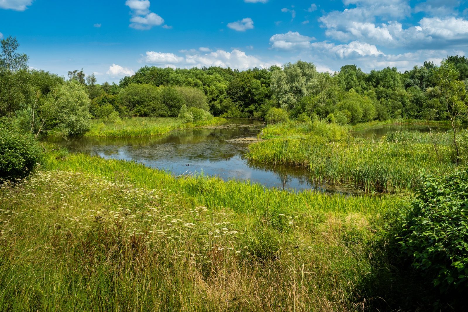 Pennington Flash Nature Reserve