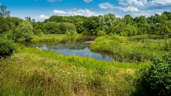 Pennington Flash Nature Reserve