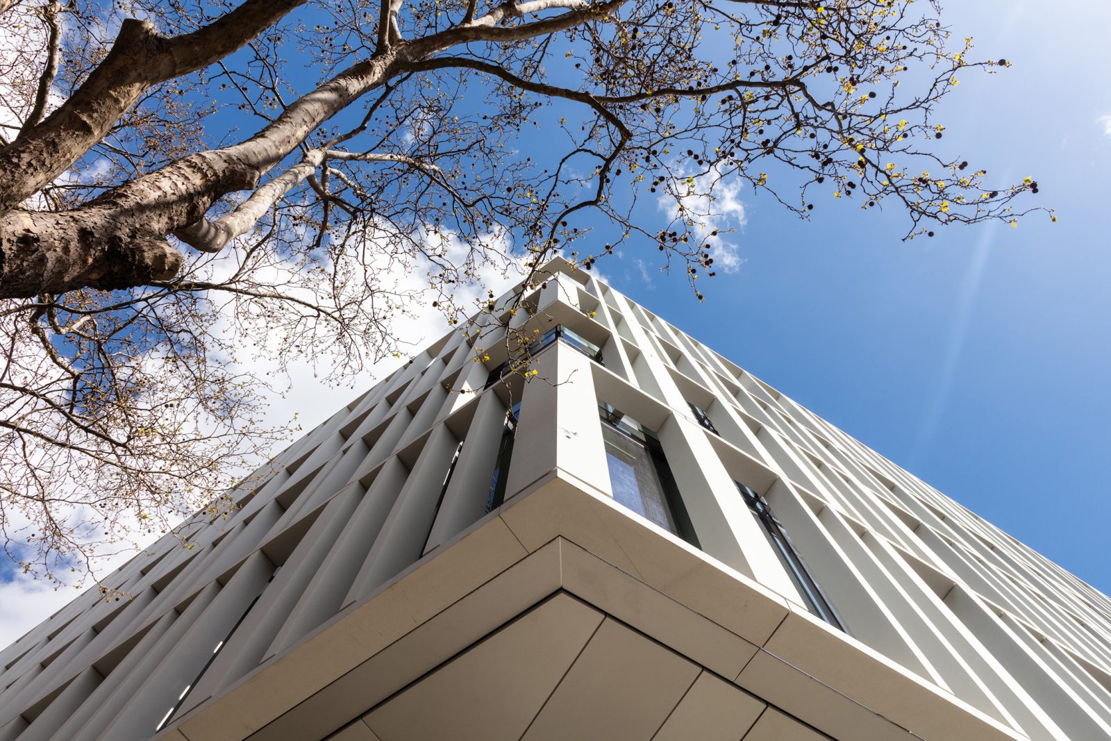 Perkins&Will completes its own HQ in Holborn