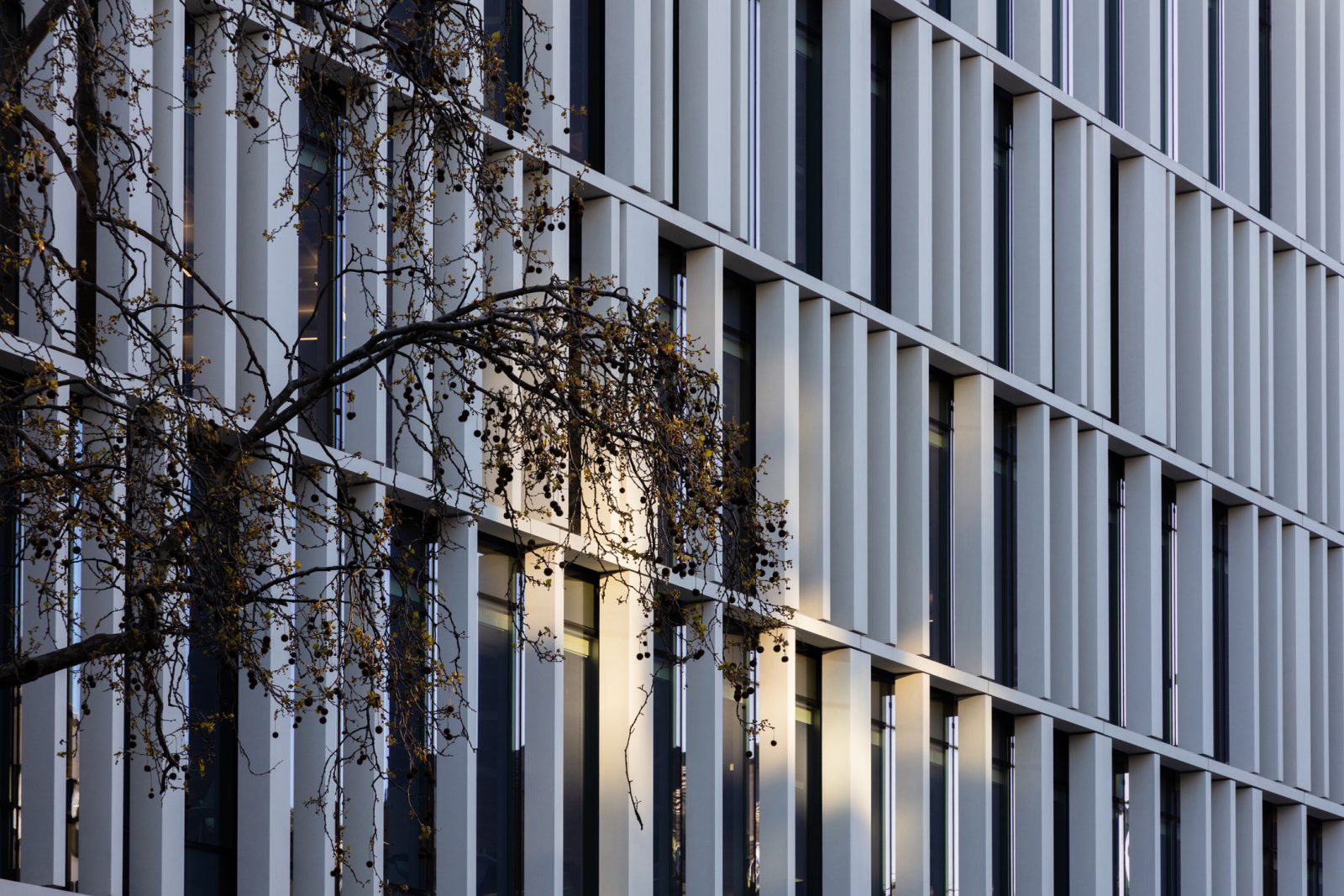 Perkins&Will completes its own HQ in Holborn
