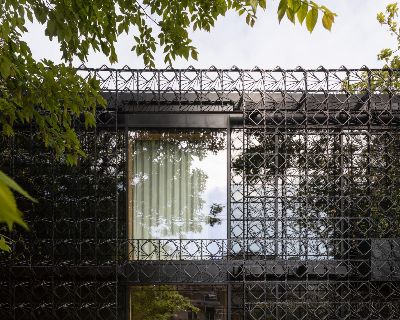 Creeper comforts: Giles Miller Studio completes house with trellis-like ...