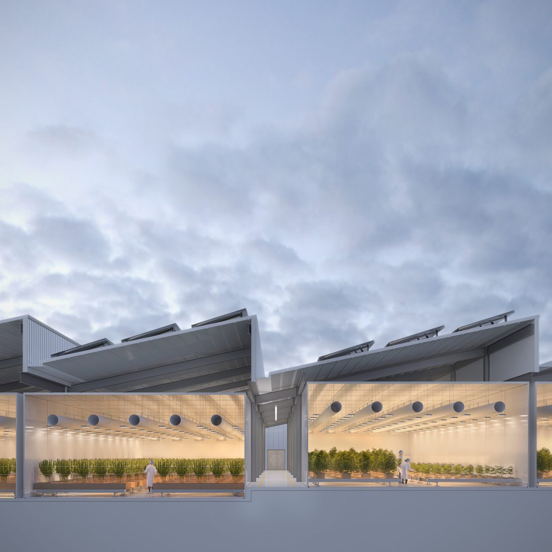 Green light: Mailen Design wins approval for Isle of Man cannabis farm