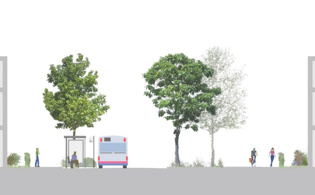 Why you should get involved with design codes