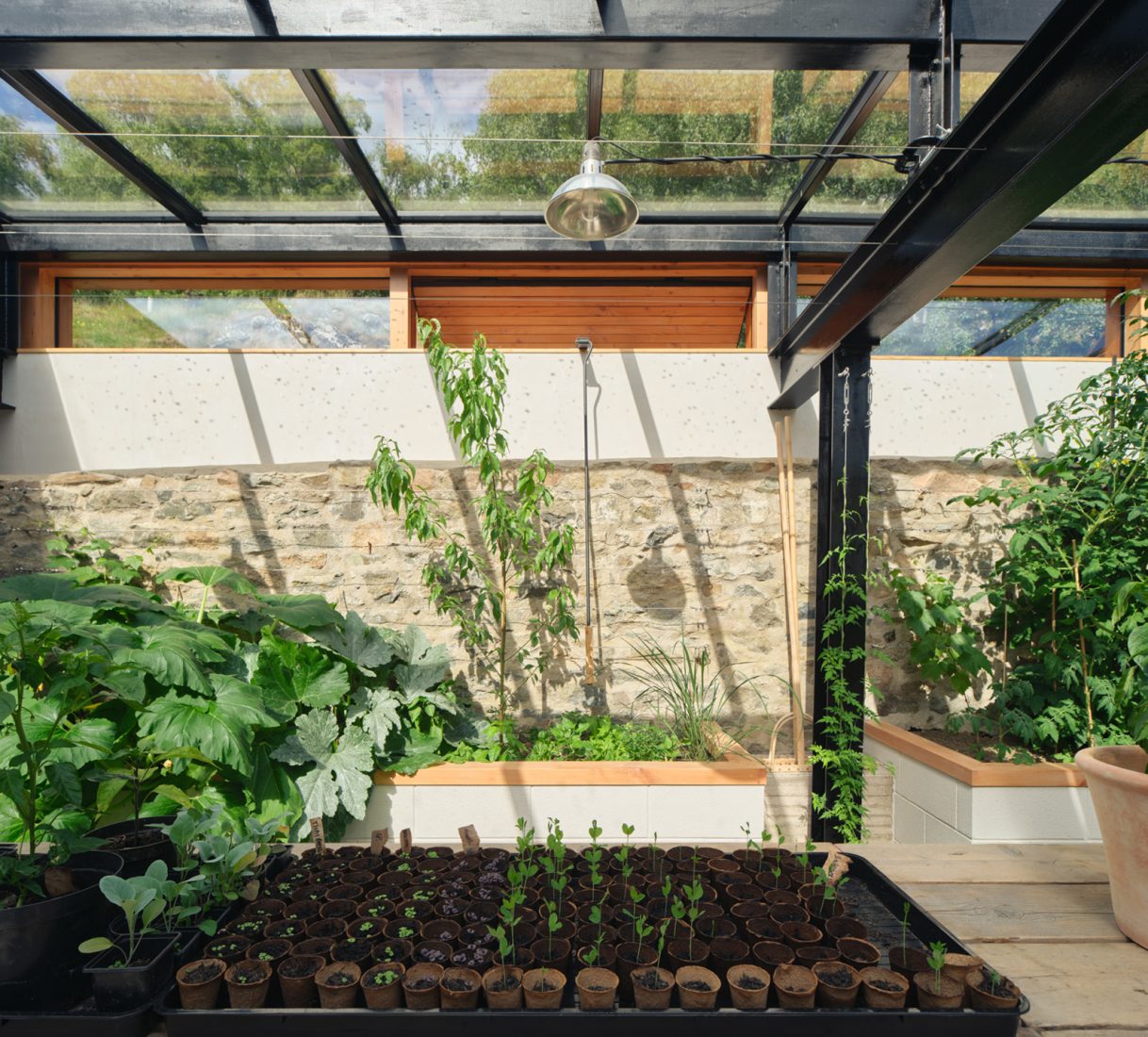 Moxon Architects converts Highland farmstead into guesthouse and studio