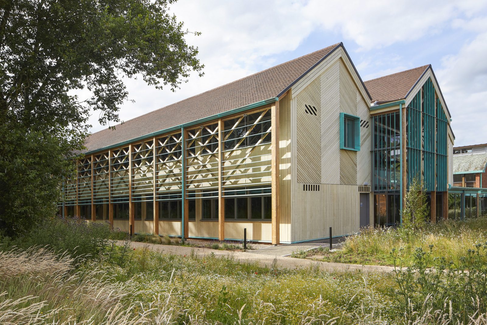 Case study: Microsoft Rare by LOM architecture and design