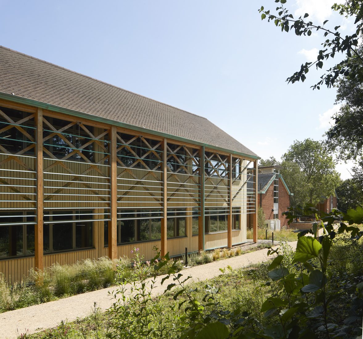 Case study: Microsoft Rare by LOM architecture and design