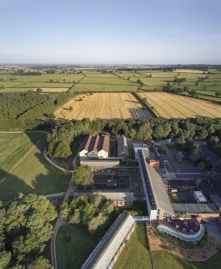 Case study: Microsoft Rare by LOM architecture and design