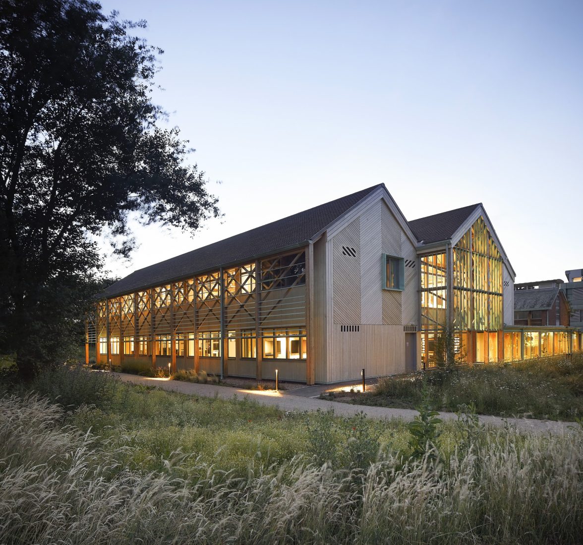 Case study: Microsoft Rare by LOM architecture and design