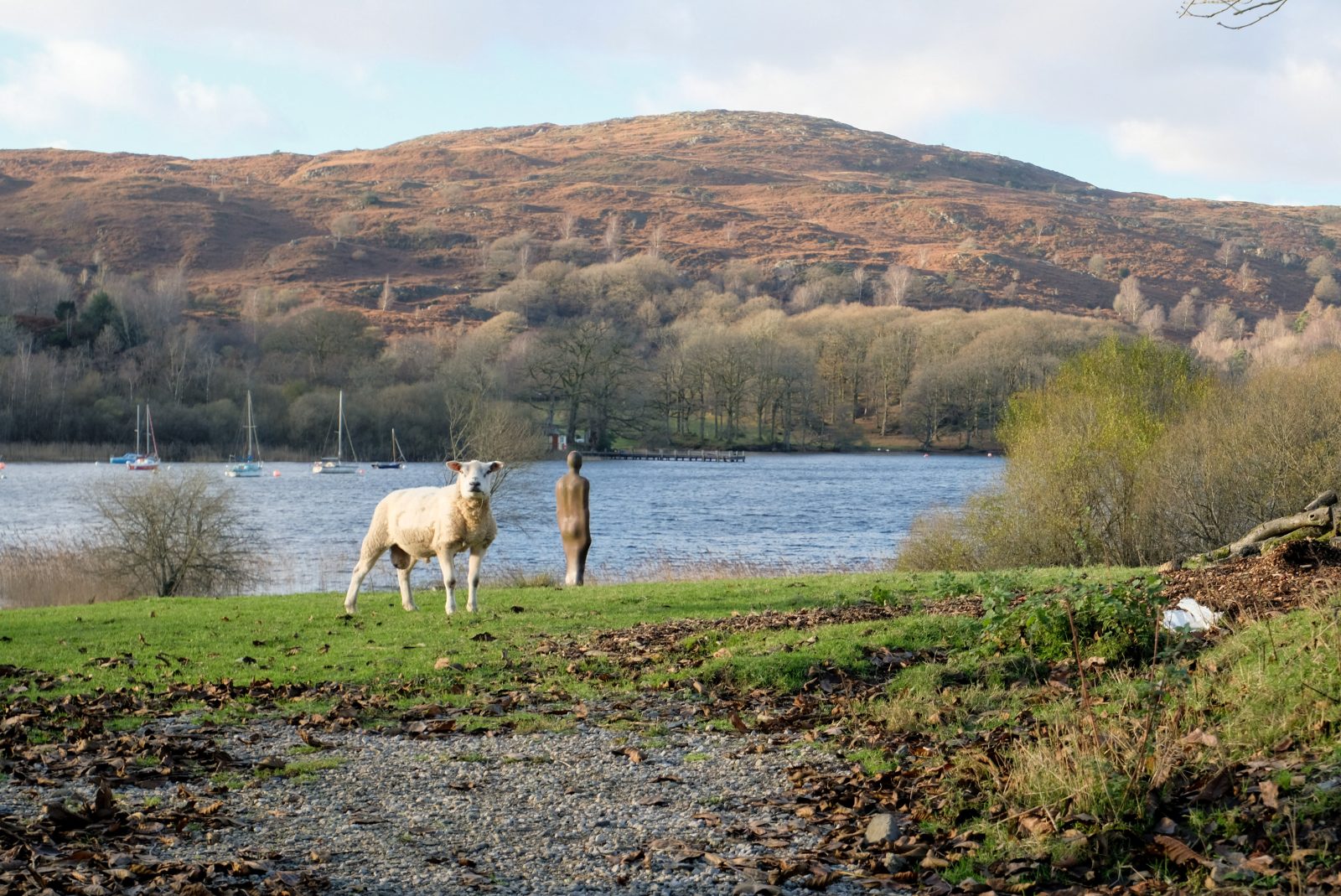 Carter Gregson Gray wins approval for arts hub in Lake District