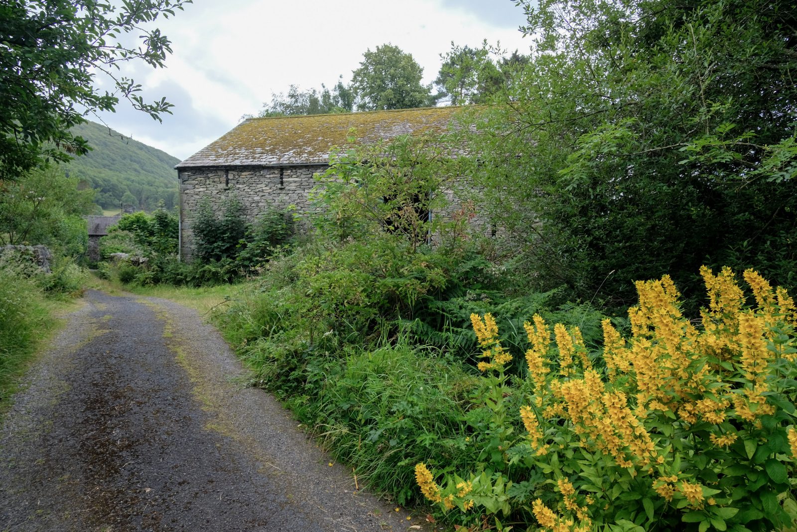 Carter Gregson Gray wins approval for arts hub in Lake District