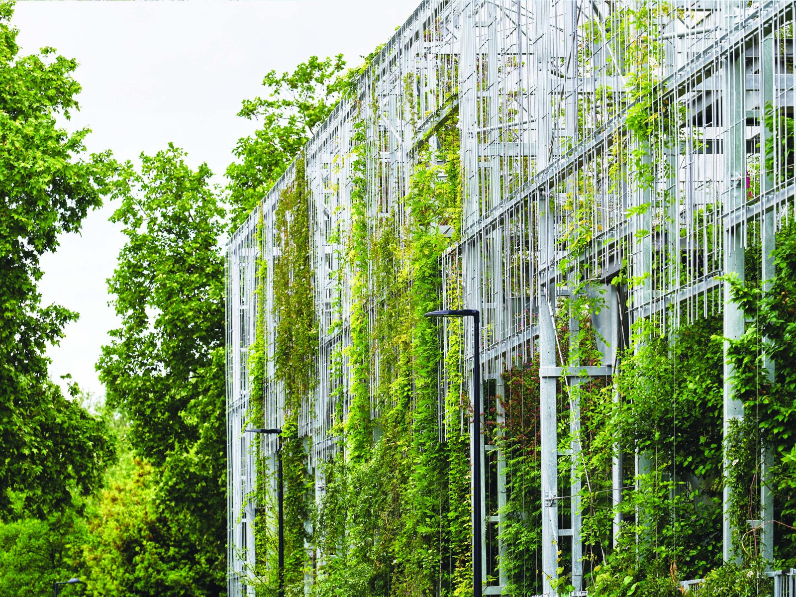 Greenhouse effect: Duncan Lewis Scape Architecture’s Bordeaux housing