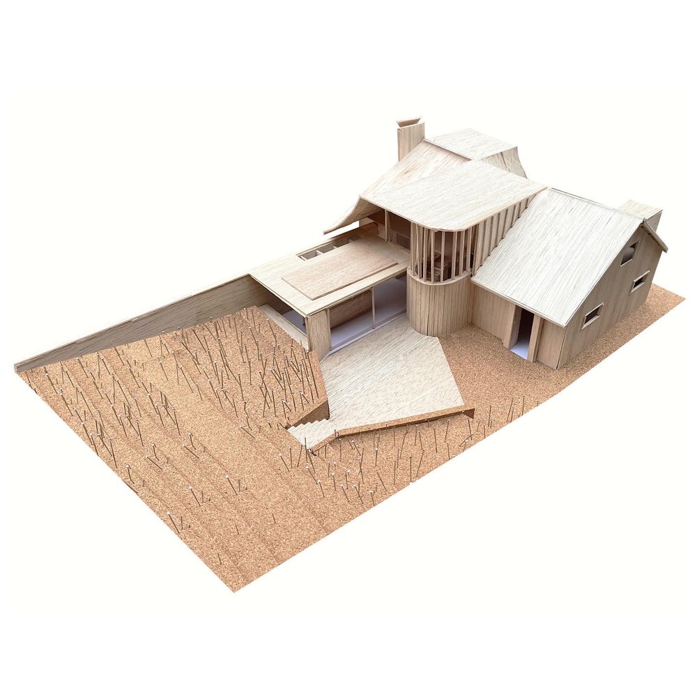 Michael Collins Architects wins planning for Flemish-inspired bungalow ...