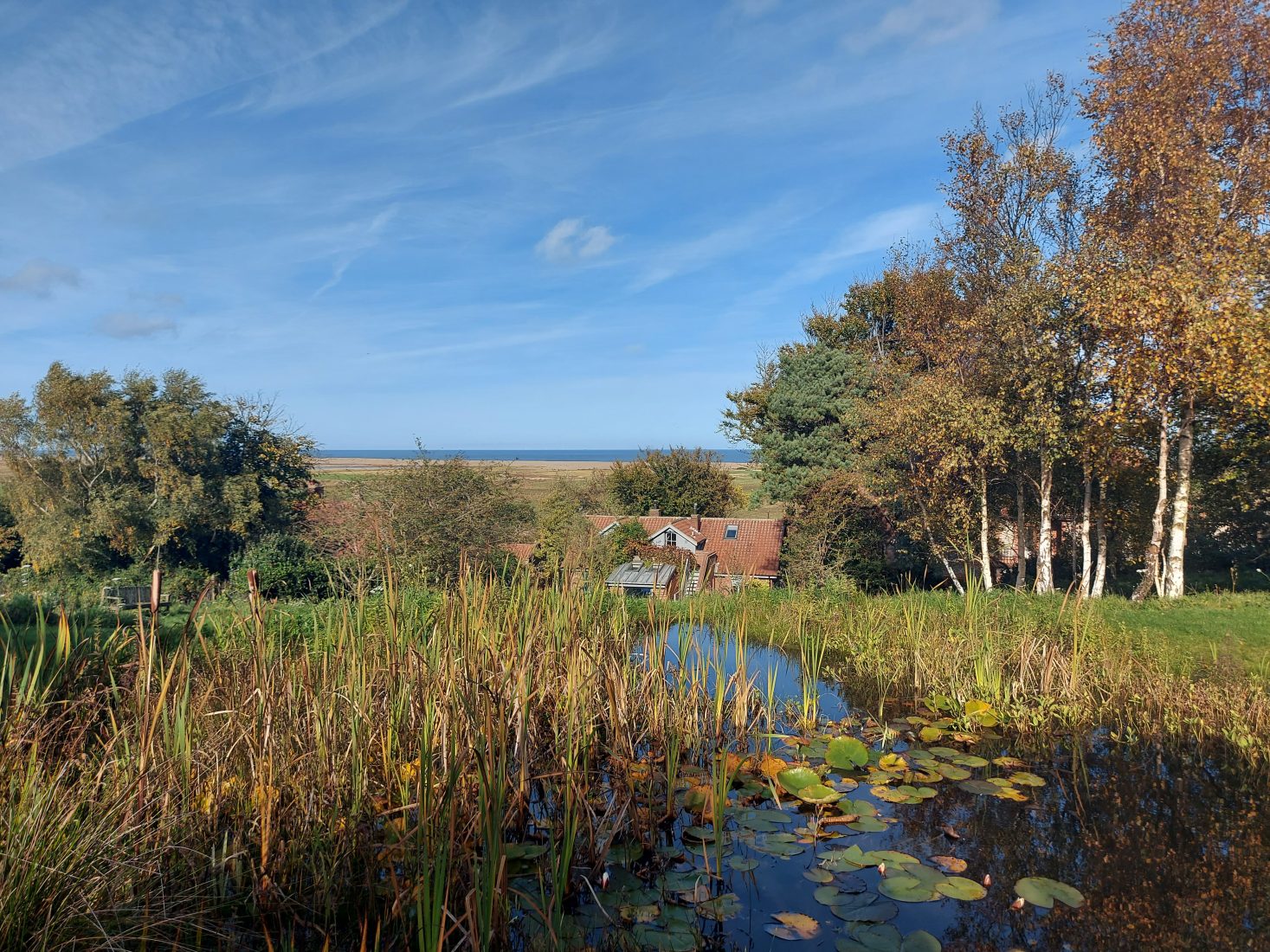 Michael Collins Architects wins planning for Flemish-inspired bungalow ...