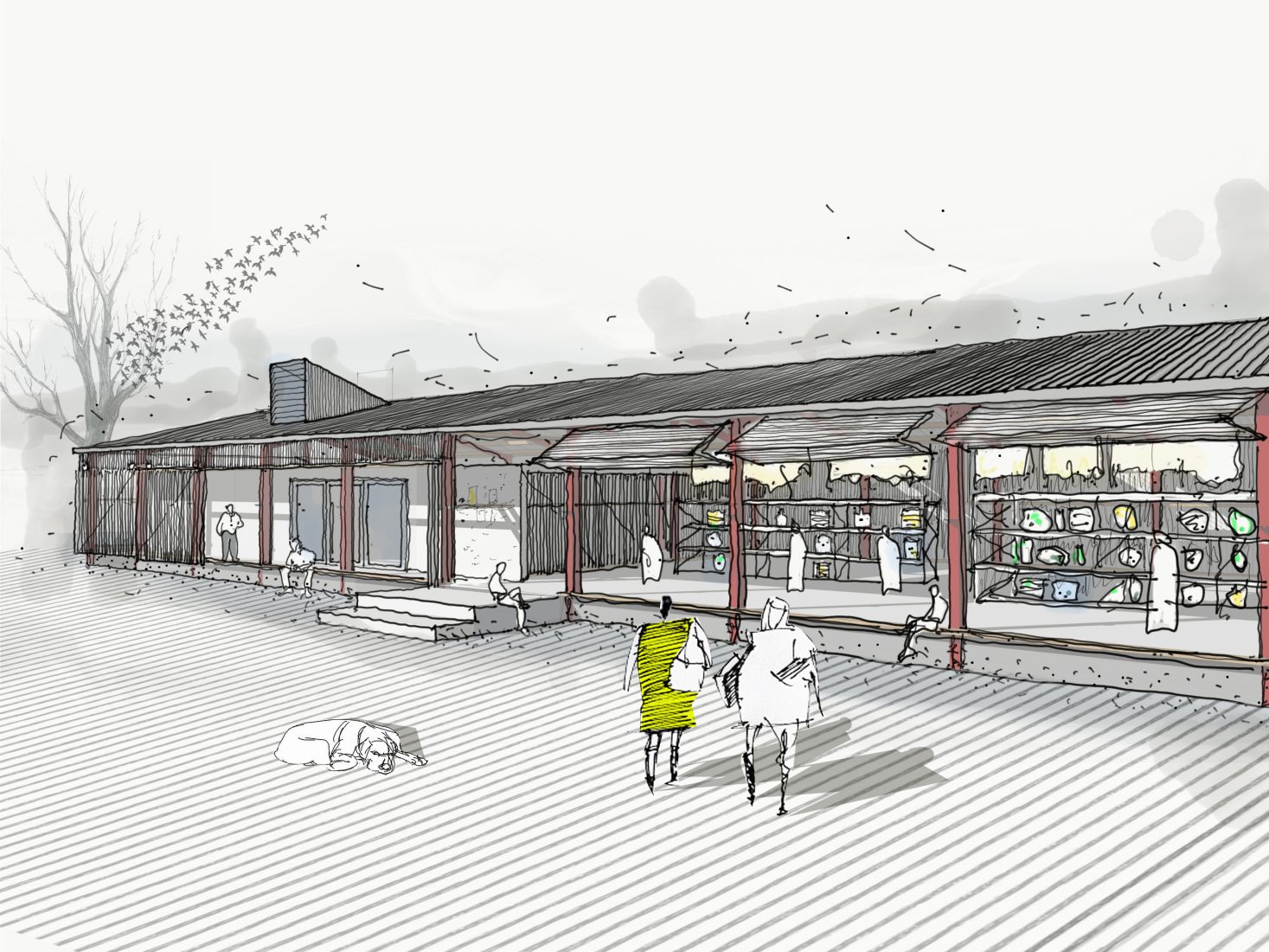 Invisible Studio and Mole unwrap new base for Forest School Camps charity