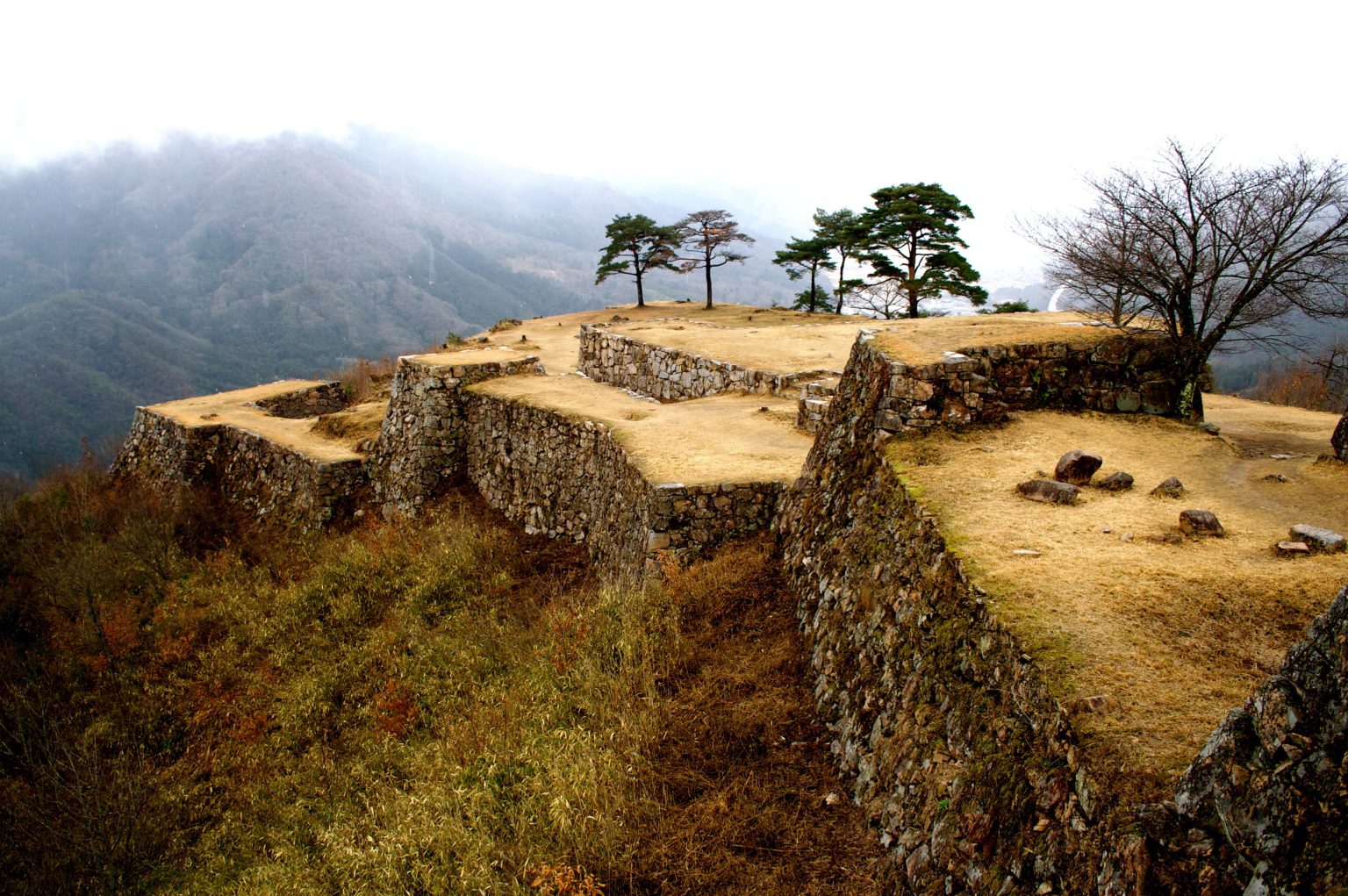 ADAM Architecture’s 2025 Travel Scholarship
