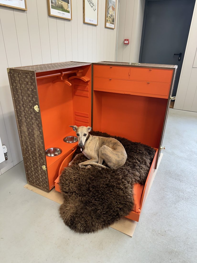 Big names shortlisted in ‘Barkitecture’ dog kennel competition