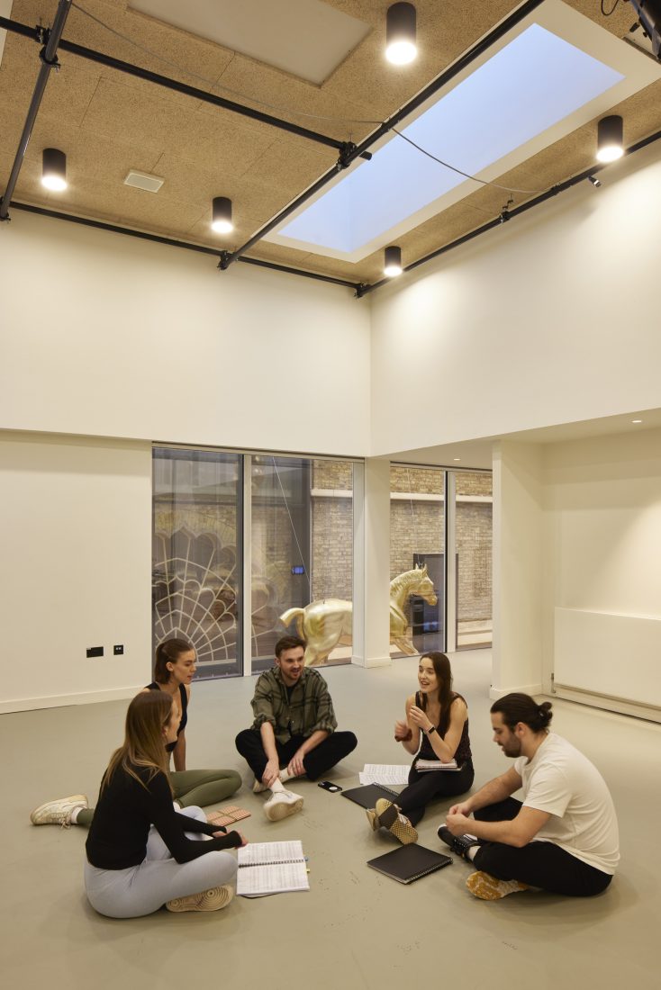 Case study: Brighton Dome by Feilden Clegg Bradley Studios