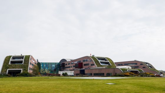 Alder Hey Framework 2024 28