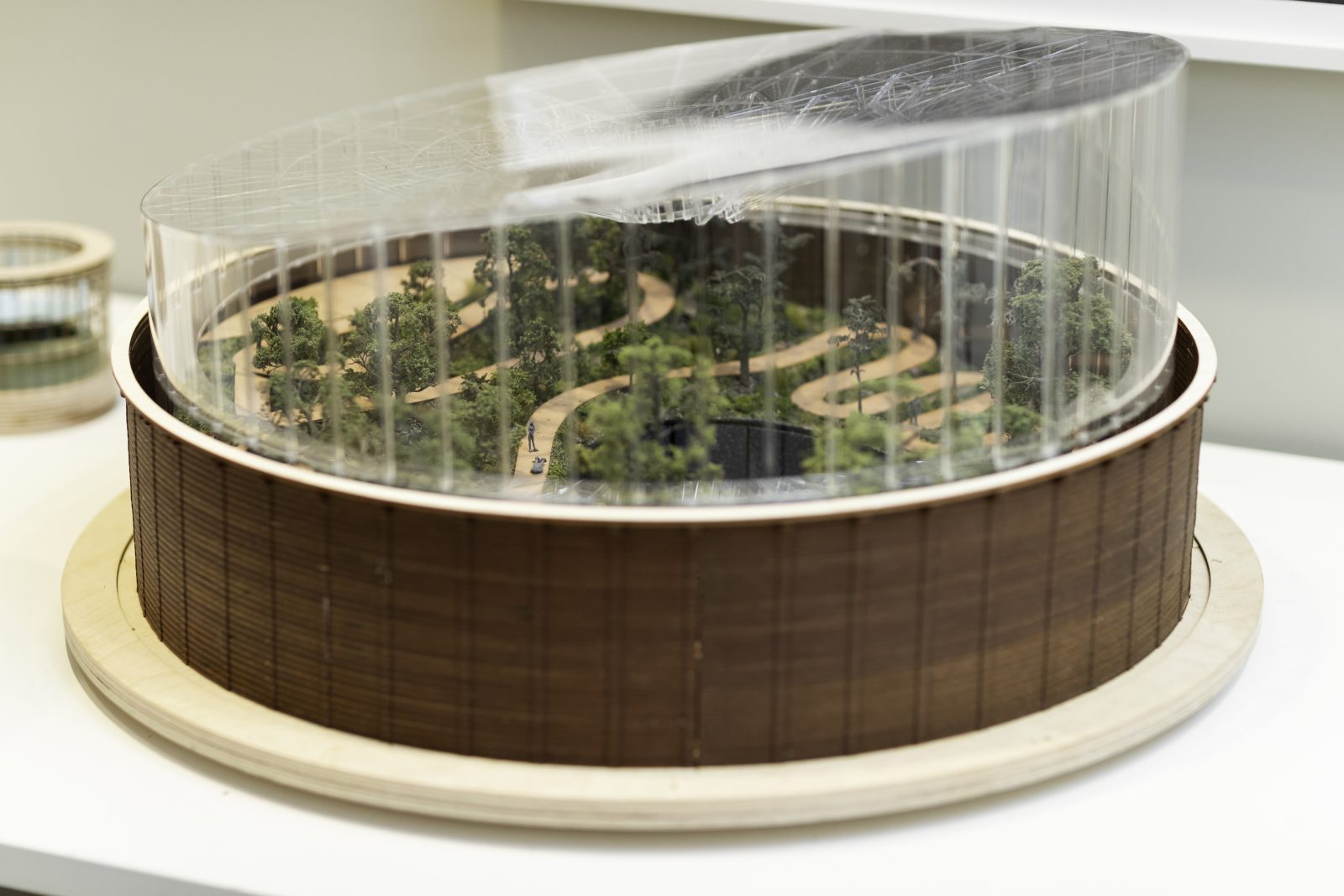 Dundee Eden Project given planning permission