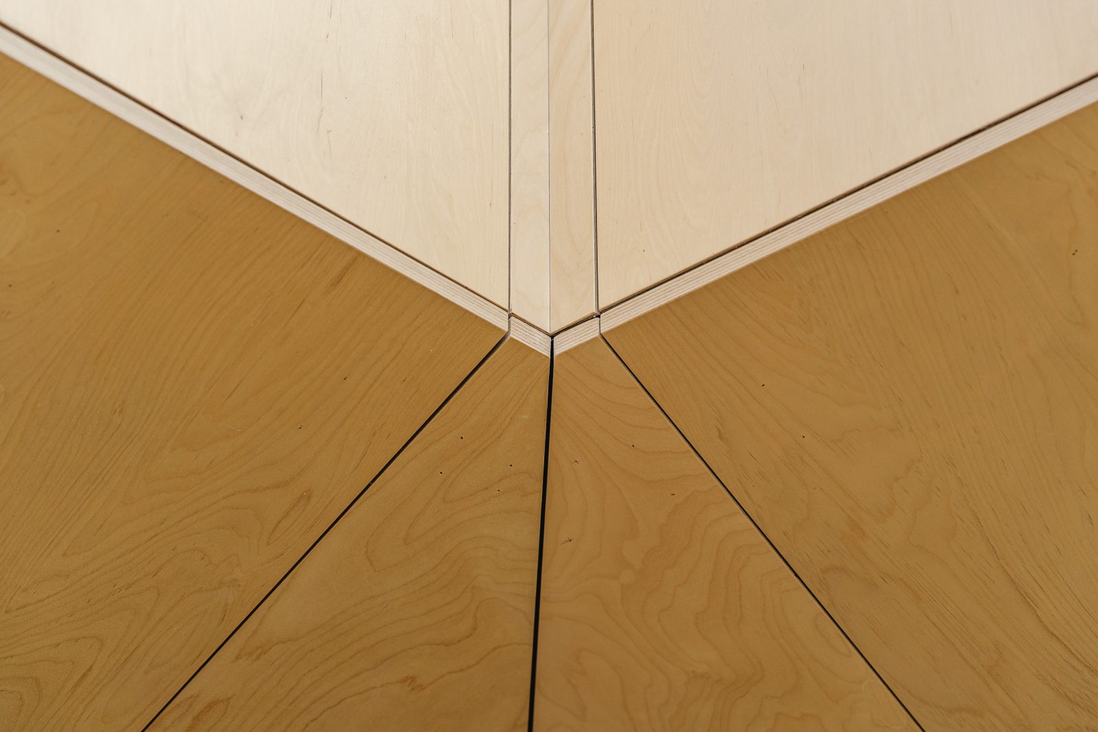 New practice Smith Maloney Hillier Architects: ‘Fees must rise to avoid ...